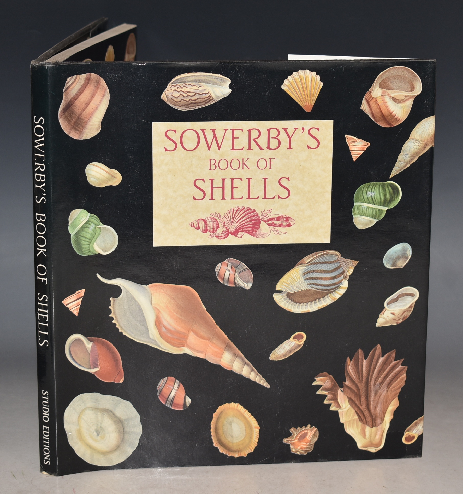 Sowerby's Book of Shells With a Foreword by S. Peter Dance.