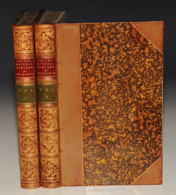 Wayside & Woodland Trees. A Pocket Guide to the British Sylva. The ...